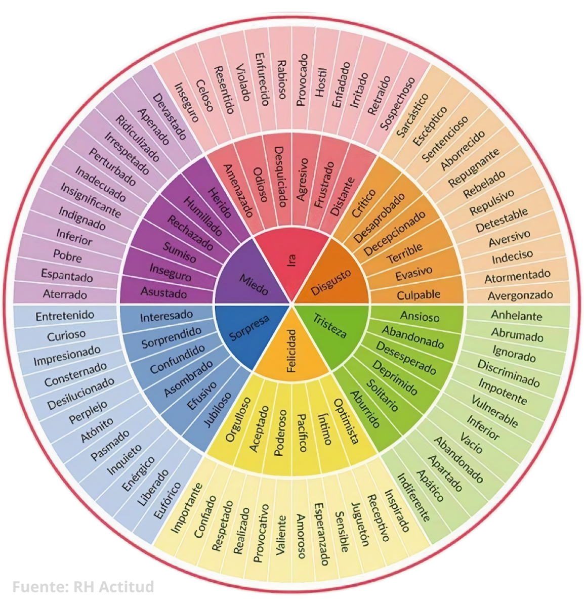 El rol de las emociones en la organización - Mentu