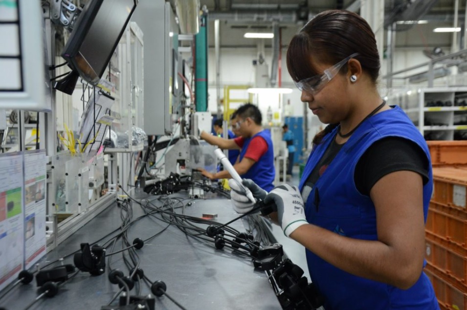 La economía formal, ¿un escudo contra el crimen organizado? - Mentu